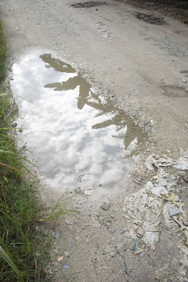 Reflective Puddle Along the Rural Pathway Stock Image - Image of ...