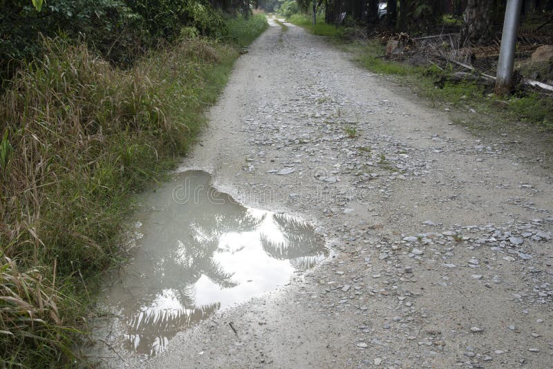 Reflective Puddle Along the Rural Pathway Stock Photo - Image of ...