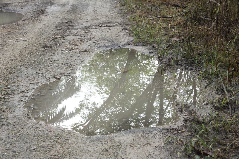 stock photo. Image of golden, nature, morning, reflective - 219387966
