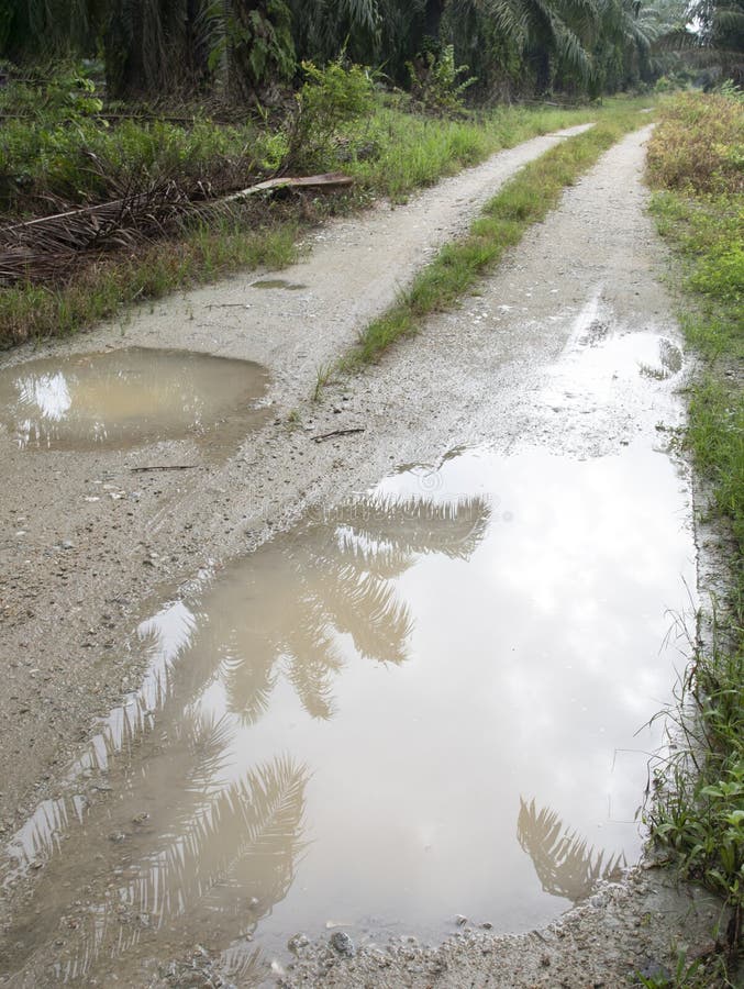 Reflective Puddle Along the Rural Pathway Stock Image - Image of hour ...