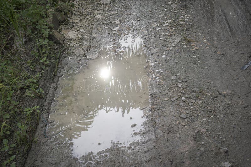 Reflective Puddle Along the Rural Pathway Stock Image - Image of pond ...