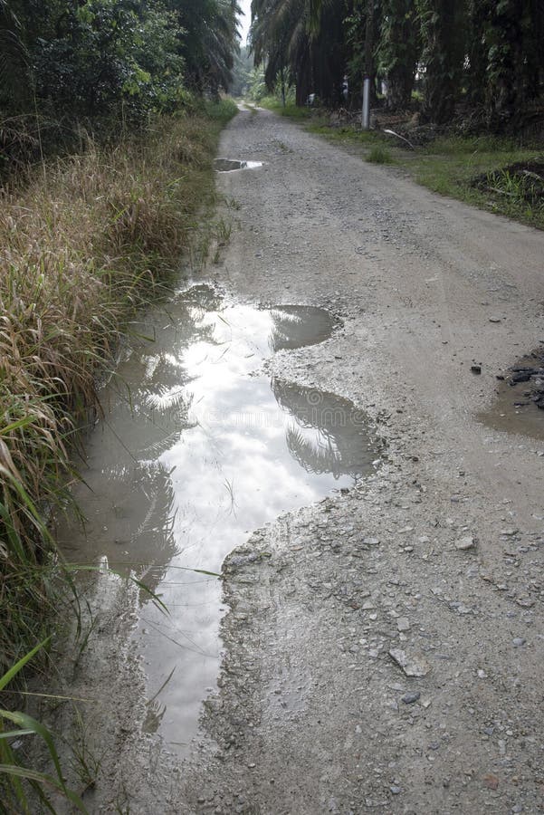 Reflective Puddle Along the Rural Pathway Stock Photo - Image of ...