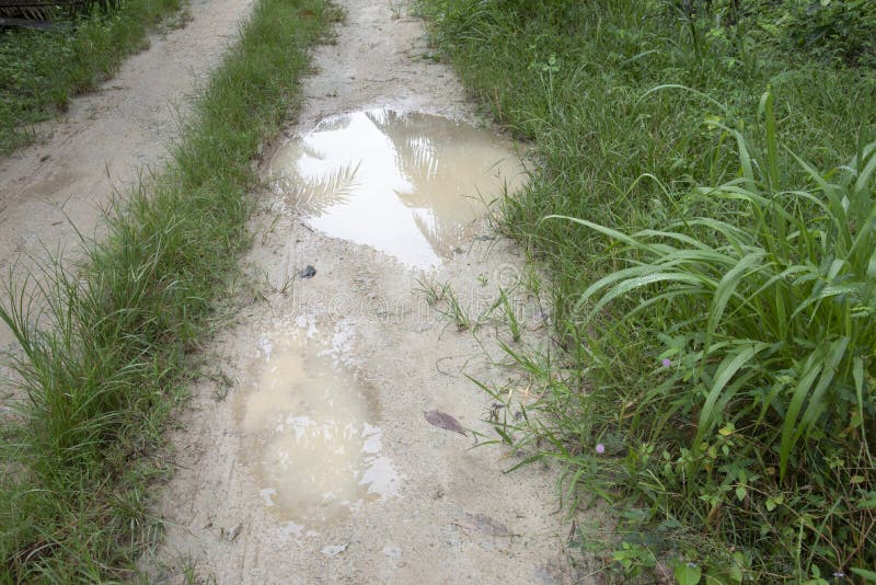 Reflective Puddle Along the Rural Pathway Stock Image - Image of ...