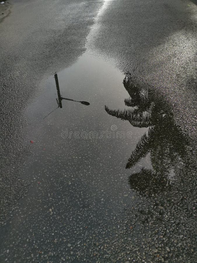 Reflective Puddle with Stagnant Water on the Roadside after the Rain ...