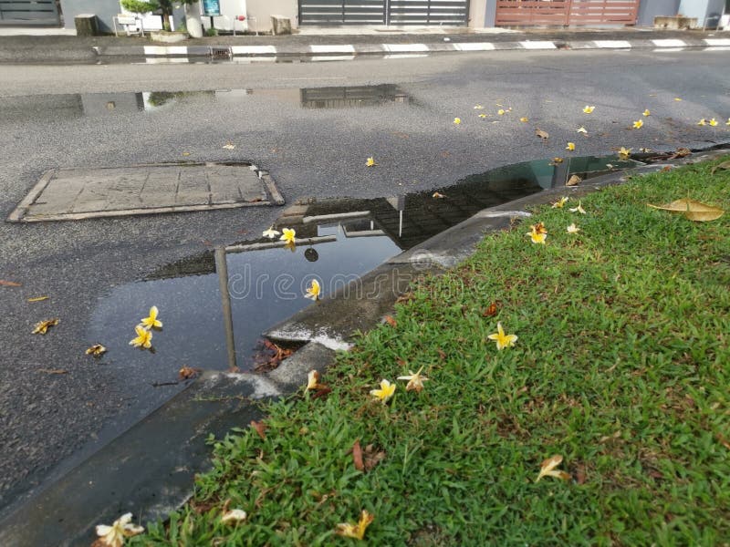 Reflective Puddle with Stagnant Water on the Roadside after the Rain ...