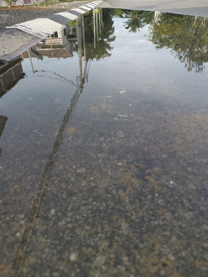Reflective Puddle with Stagnant Water on the Roadside after the Rain ...