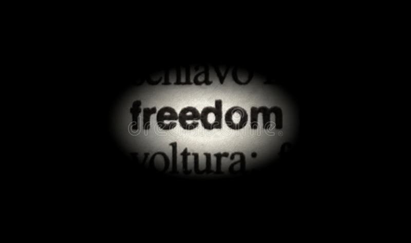 Focus on Word Freedom Concept, Word, Black. Stock Illustration ...