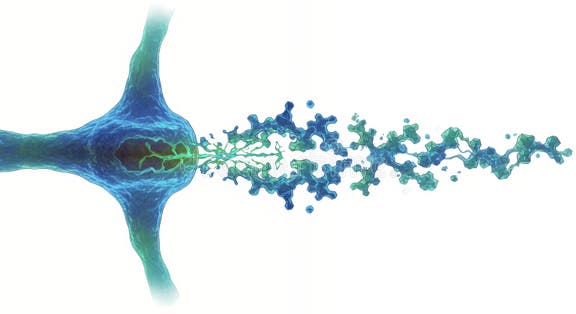 Neuron Transmitting Signal through Synapse with Branching Molecular ...