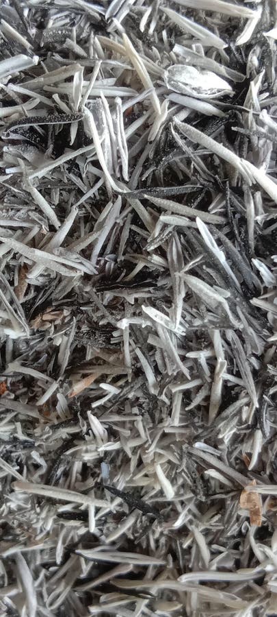 Image of Rice Husk that Has Been Burned Stock Image - Image of burned ...