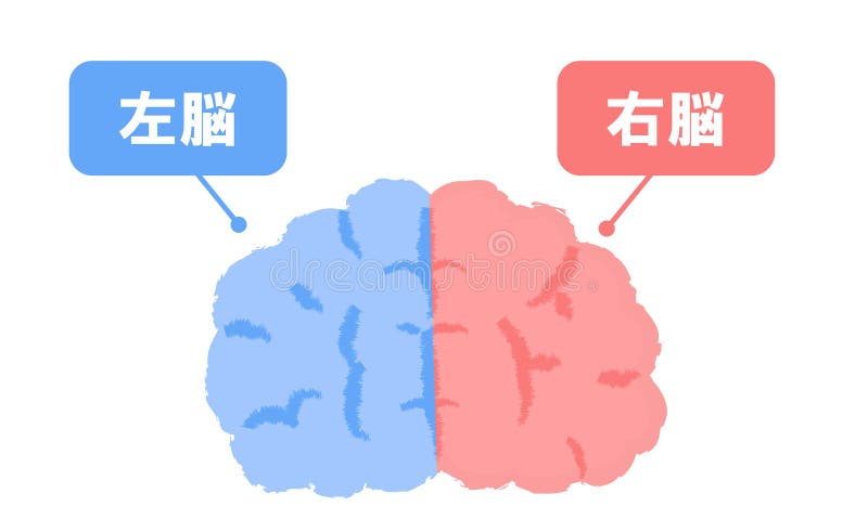 Image of Right Brain and Left Brain, Handwritten Style Stock Vector ...