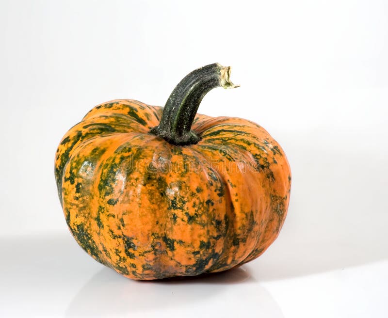 Image of Ripe Pumpkin Close-up Stock Photo - Image of close, dieting ...