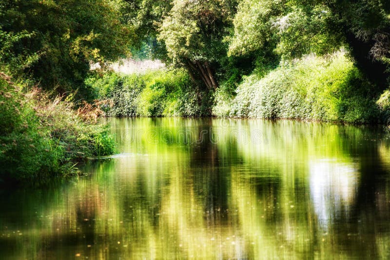 Reflections of Trees in a Lake Stock Image - Image of reflections ...