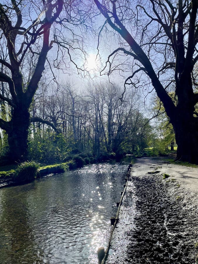 Sun rising over a river stock image. Image of early - 274974251