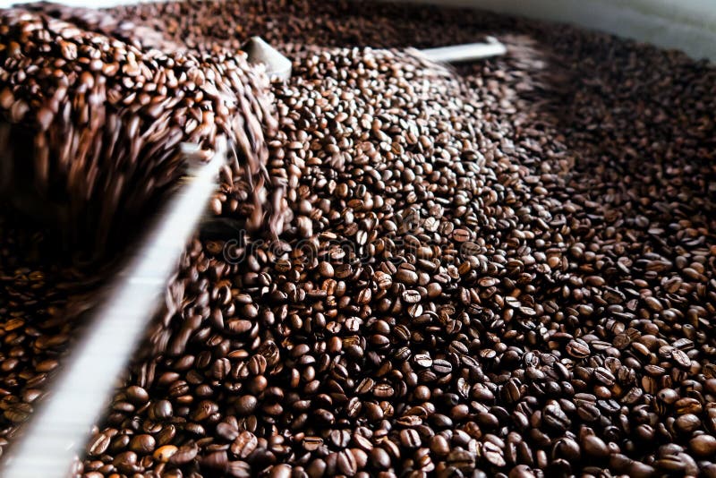 Roasting process of coffee stock photo. Image of heat - 250093316