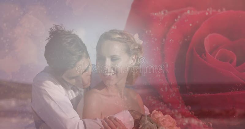 Image of Rose Over Married Couple at Beach Stock Photo - Image of ...