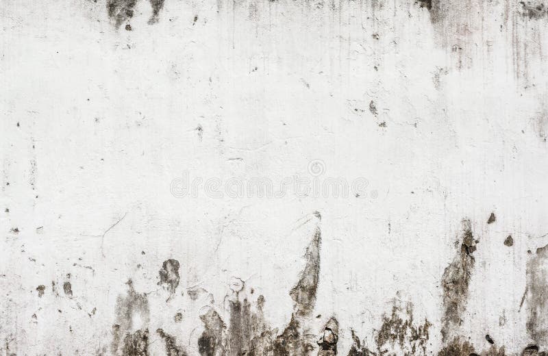 Image of Rough White Wall Texture Stock Photo - Image of material ...