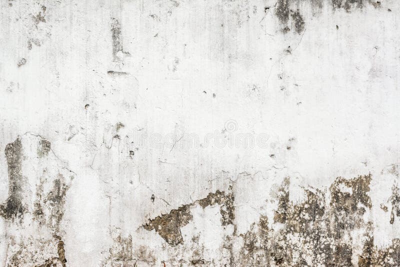 Image of Rough White Wall Texture Stock Image - Image of plain, color ...
