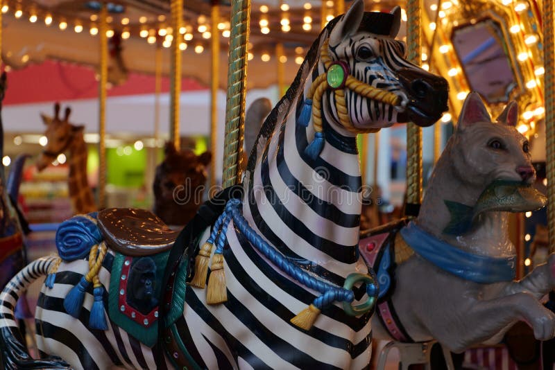 Merry Go Round Zebra Stock Photos - Free & Royalty-Free Stock Photos ...
