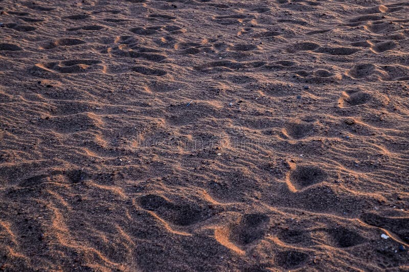 Sandy Beach Lot Footprints Sand Stock Photos - Free & Royalty-Free ...