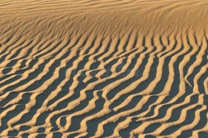 The Image is of a Sandy Beach with a Pattern of Waves and Ripples Stock ...
