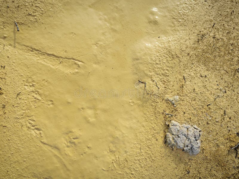 Drying Wet Mud from the Stagnant Pool of Rainwater. Stock Photo - Image ...
