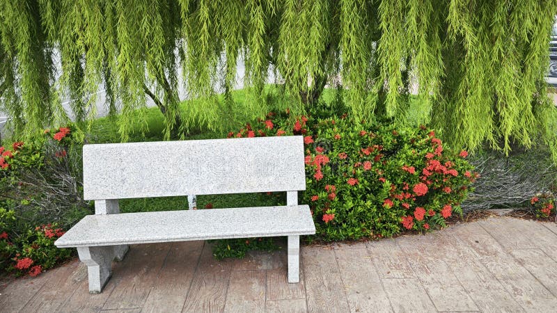 Long Granite Rock Bench Under Willow Tree Stock Photos - Free & Royalty ...