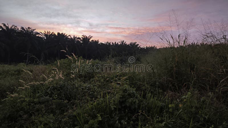 Early Dawn Sky at the Quiet Pathway into the Countryside. Stock Image ...