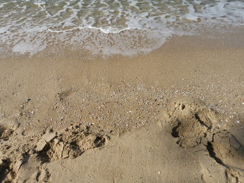 Scene of the Sea Wave Moving Onto the Sandy Beach Stock Image - Image ...