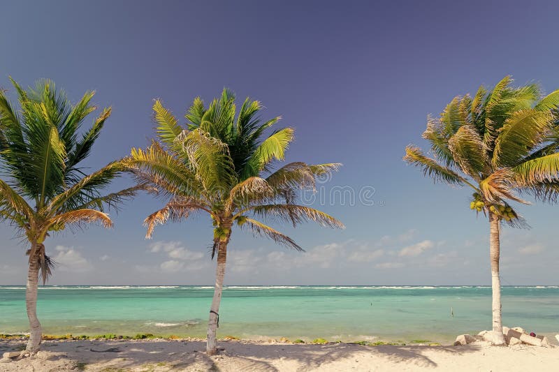 Image of Sea Beach at Summer Vacation. Sea Beach at Summer Vacation ...