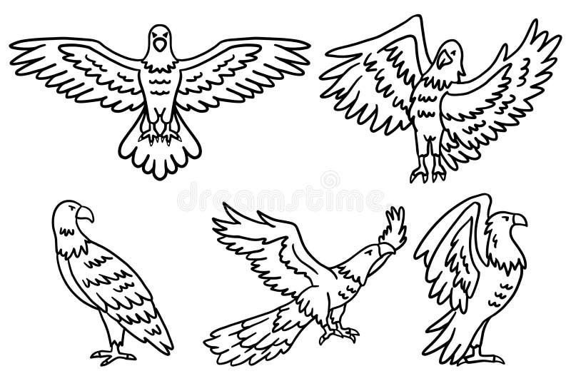 The Image is a Set of Six Drawings of Birds in Flight Stock Vector ...