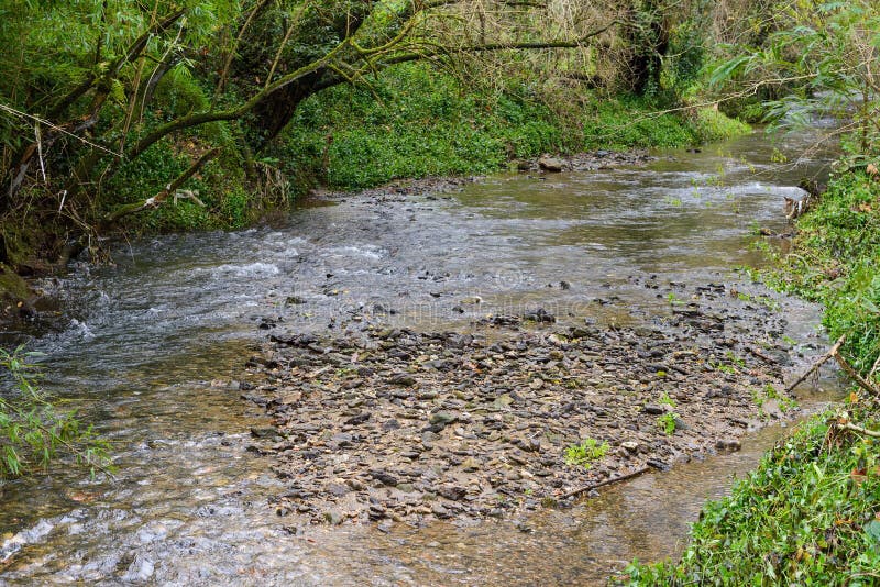 Shallow Stream of Water Over Colorful Gravel, Pebbles in Various Colors ...