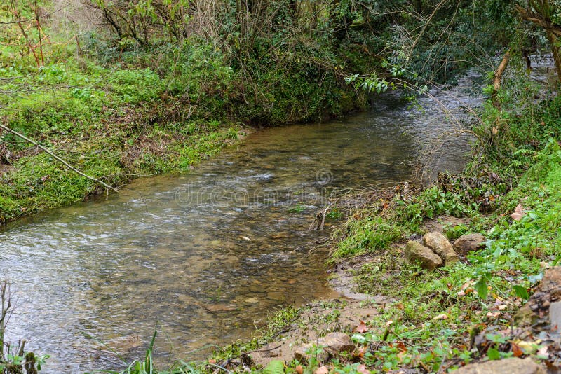 Shallow Stream of Water Over Colorful Gravel, Pebbles in Various Colors ...