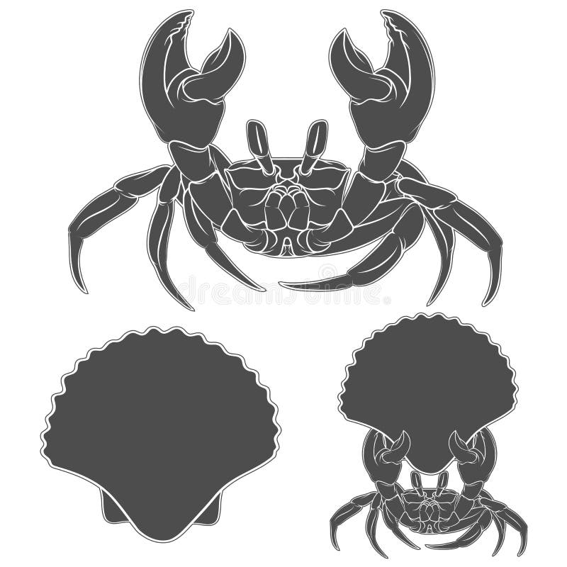 Black White Vector Crab Claws Stock Illustrations 245 Black White