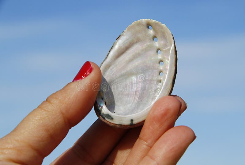 Nacar shell stock image. Image of nature, smooth, human - 29787213