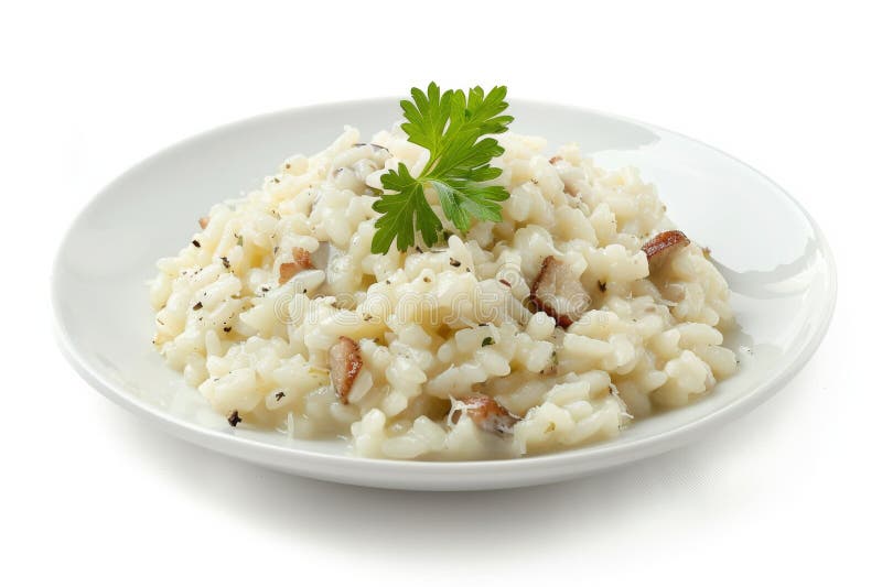 Delicious Italian Risotto Dish Stock Illustration - Illustration of ...