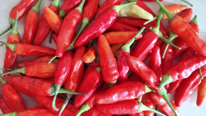A Collection of Fresh Red Chilies on a Table Stock Photo - Image of ...