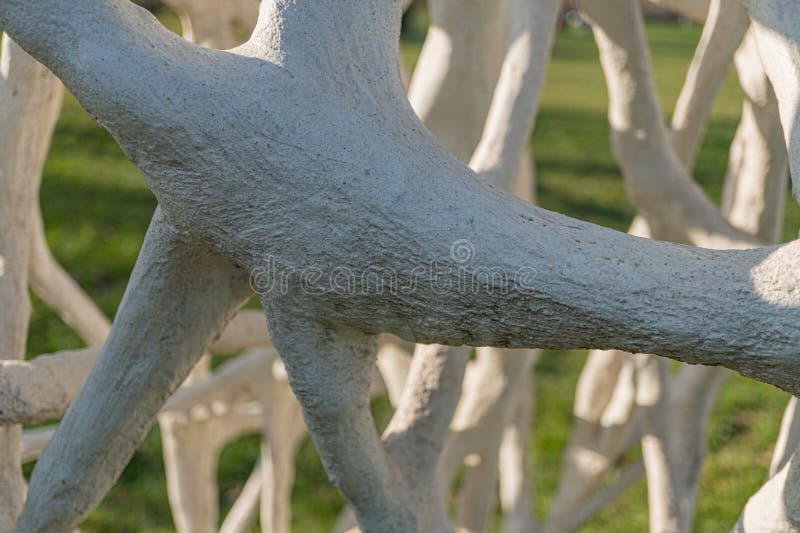 The Image Showcases a Metallic or Resin Human Bone Sculpture, Complex ...