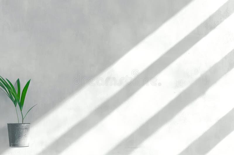 Organic Drop Shadow Overlay on White Wall for Mockups and Presentations ...