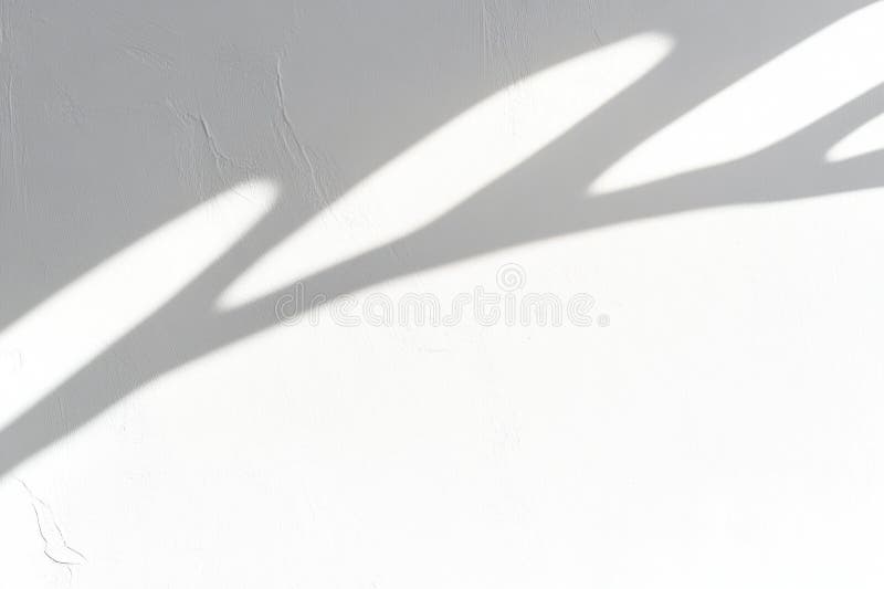 Organic Drop Shadow Overlay on White Wall for Mockups and Presentations ...