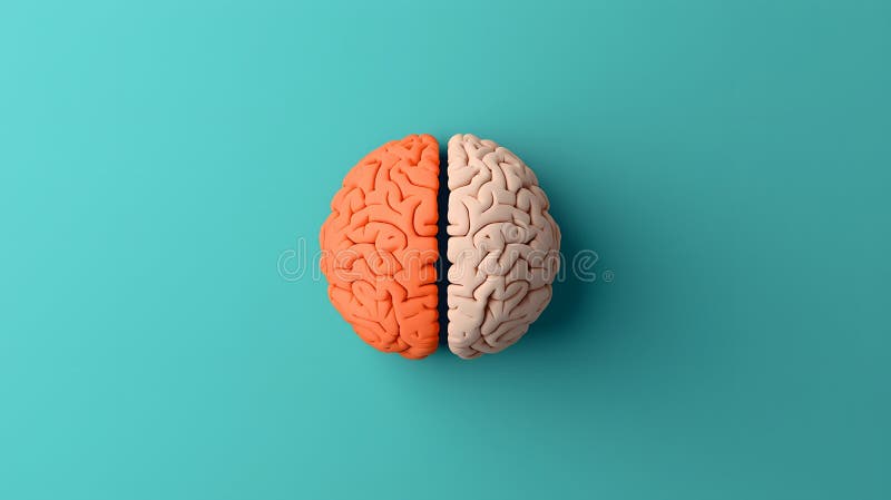 Exploring the Duality of Thought: the Creative and Logical Sides of the ...