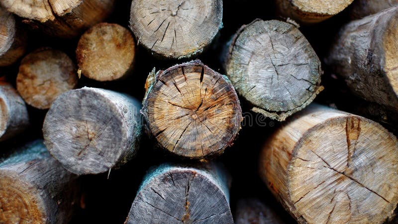Stacked Wood Logs stock illustration. Illustration of logs - 374129082