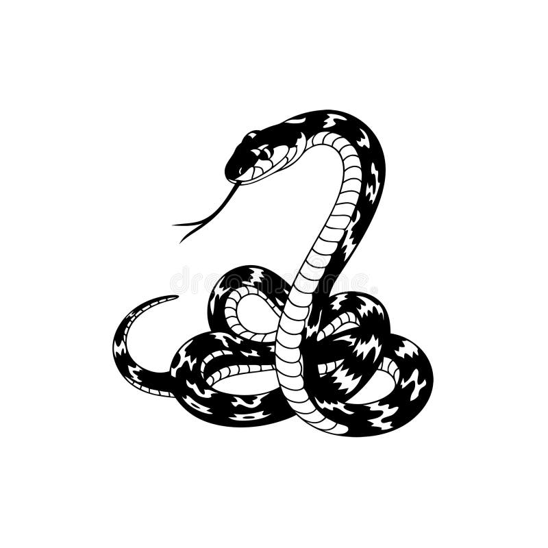 Striking Black and White Vector Snake Illustration Curled Defensive ...