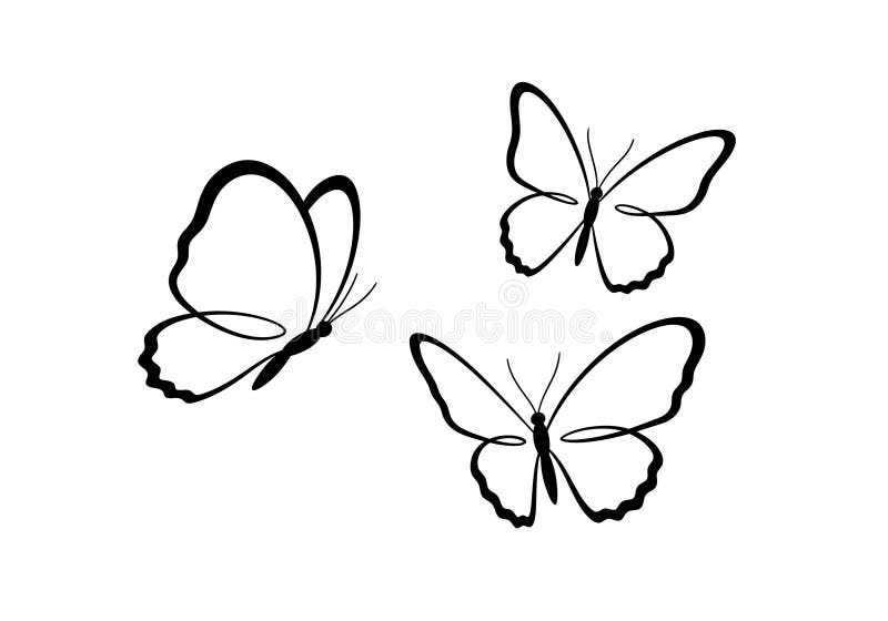 3 butterflies drawing stock vector. Illustration of creature - 383995917