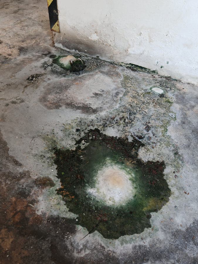 470 Floor Mildew Concrete Stock Photos - Free & Royalty-Free Stock ...