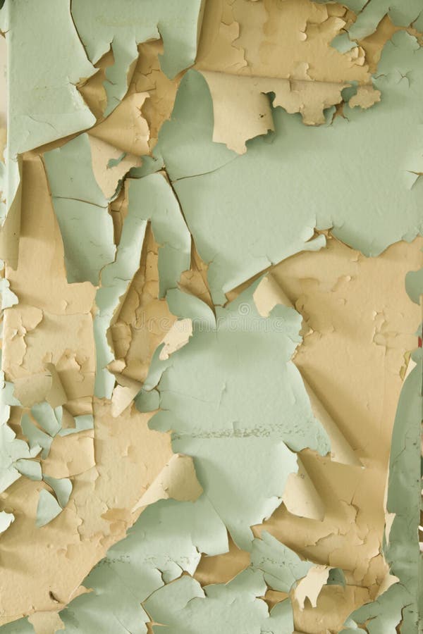 103 Bloated Paint Stock Photos - Free & Royalty-Free Stock Photos from ...