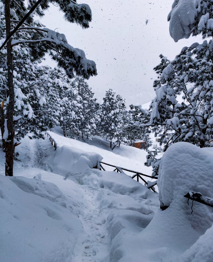 Image Showing a Pathway Over Mountains Covered with Snow. Stock Photo ...