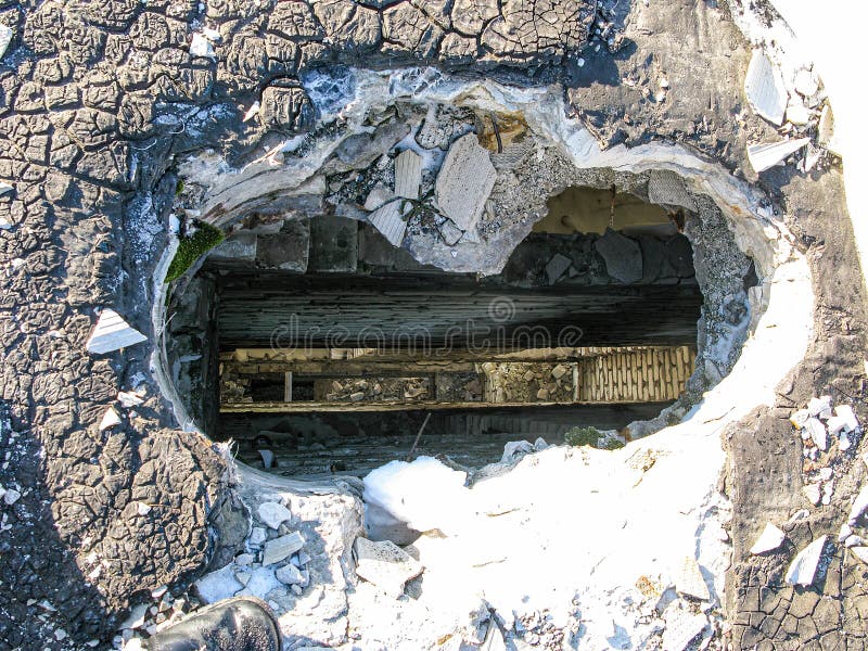 Large hole in tree trunk stock photo. Image of natural - 180807286