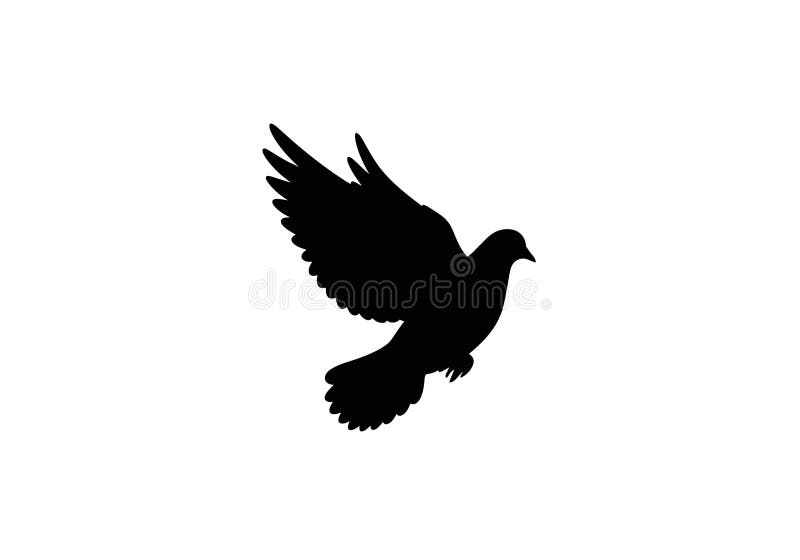 Flying dove silhouette stock vector. Illustration of silhouette - 377655071