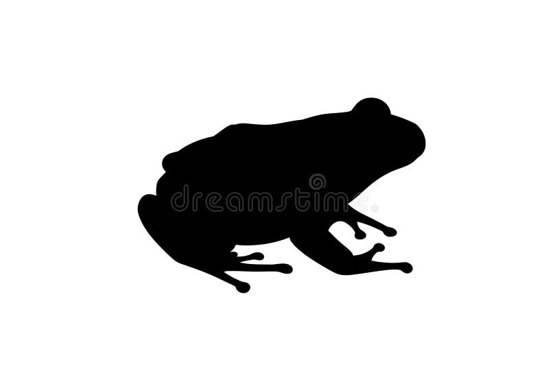 Frog silhouette stock vector. Illustration of amphibian - 376723488