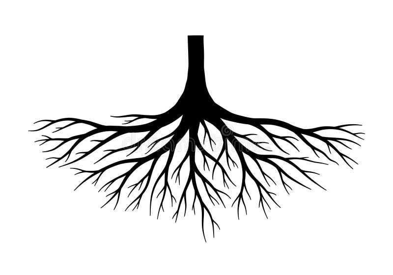 Root silhouette stock illustration. Illustration of nature - 376911803